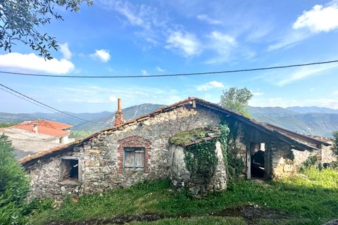 Villa en venta en Salas, Asturias - €13.630 | Ref: QPE00308/10606 | Kyero