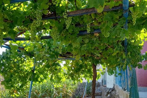 Villa for sale in Galdar, Gran Canaria - €86,420 | Ref: 3310-15932 | Kyero