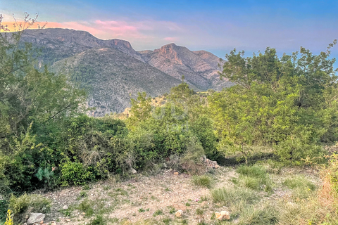 Land for sale in Alicante, Alicante - €14,900 | Ref: 133453 | Kyero