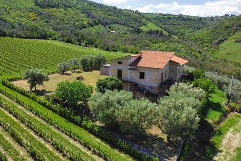 Country house for sale in Controguerra, Teramo - €150,000 | Ref: 33567 ...