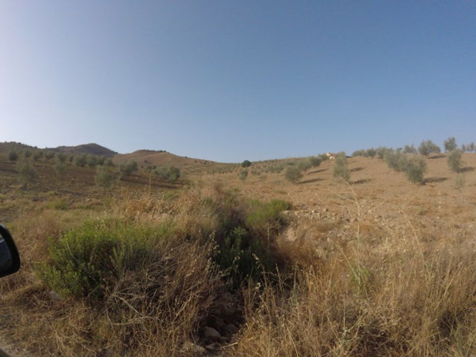 Lopin de terre à vendre - Alora, Province de Malaga - € 1 900 000 | Réf ...