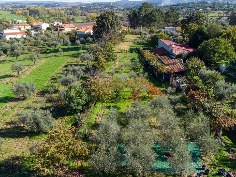Country house for sale in Covilha, Castelo Branco District - € 79,950 ...