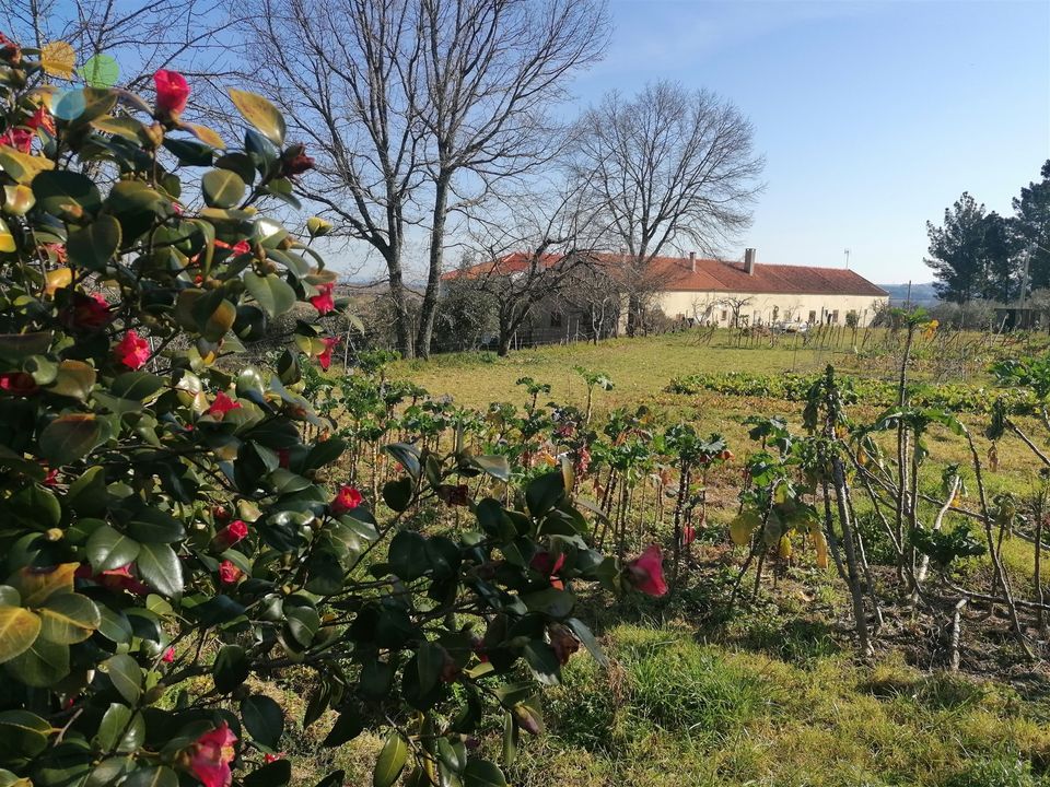 Country house for sale in Covilha, Castelo Branco District - € 79,950 ...
