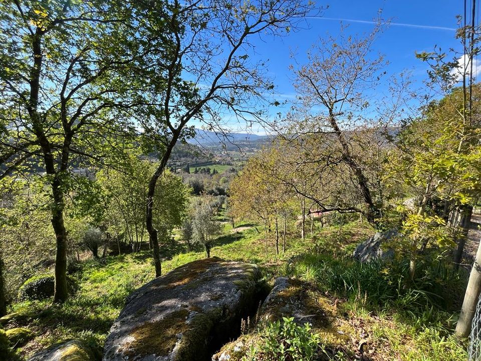 Country house for sale in Ponte de Lima, Viana do Castelo District - € ...