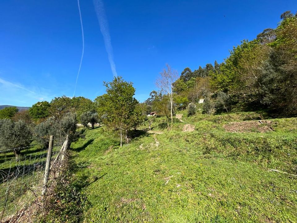 Country house for sale in Ponte de Lima, Viana do Castelo District - € ...