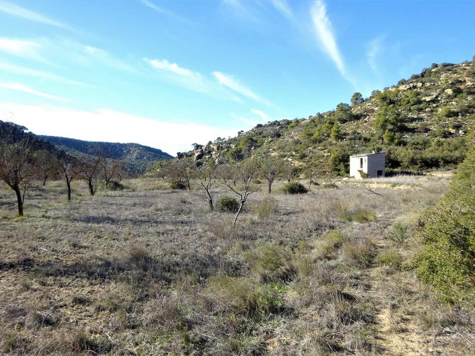 Country house for sale in Maella, Zaragoza province - € 14,500 | Ref ...