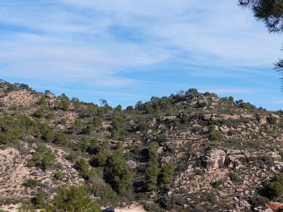 Country house for sale in Alcaniz, Teruel province - € 36,000 | Ref ...