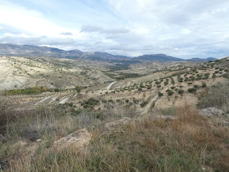 Cave house for sale in Fuente Vera, Granada province - € 99,950 | Ref ...