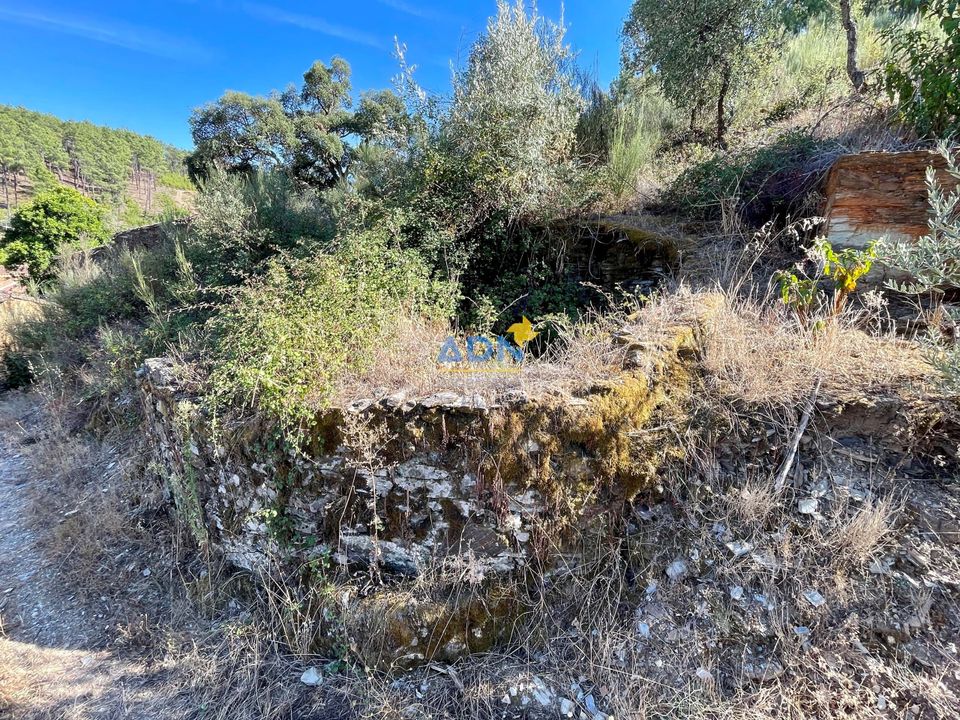 Plot of land for sale in Castelo Branco, Castelo Branco District - € ...