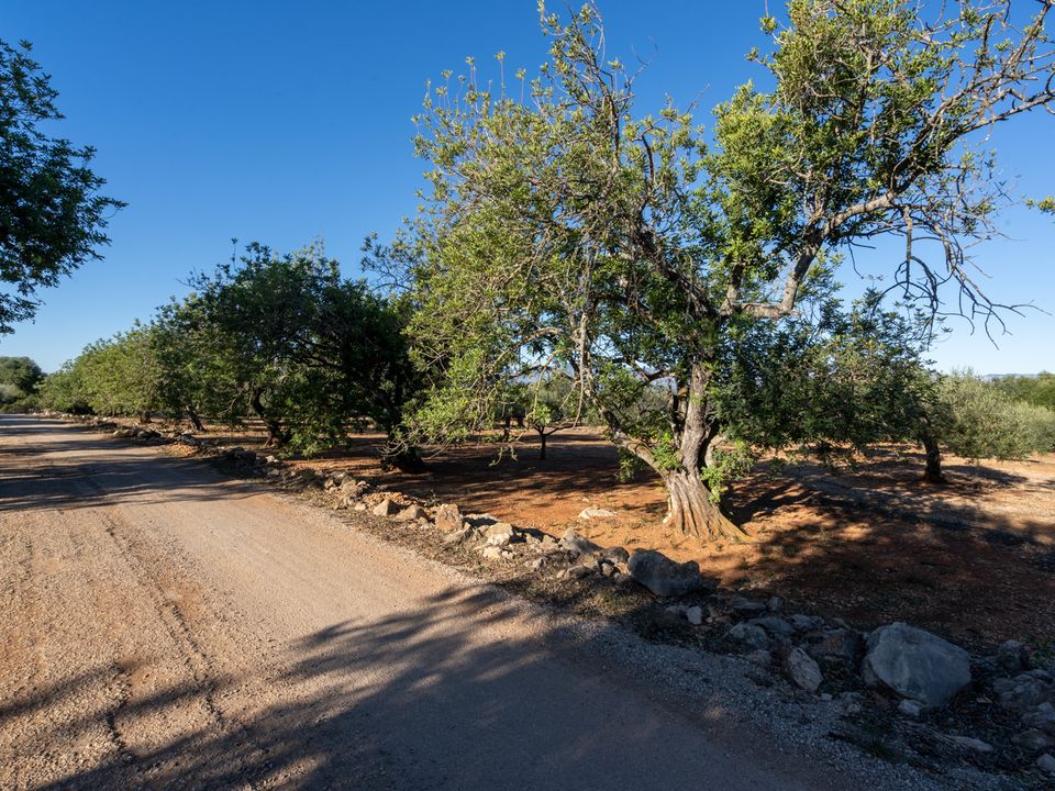 Country house for sale in Godall, Tarragona province - € 20,000 | Ref ...
