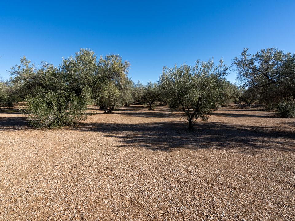 Country house for sale in Mas De Barberans, Tarragona province - € ...