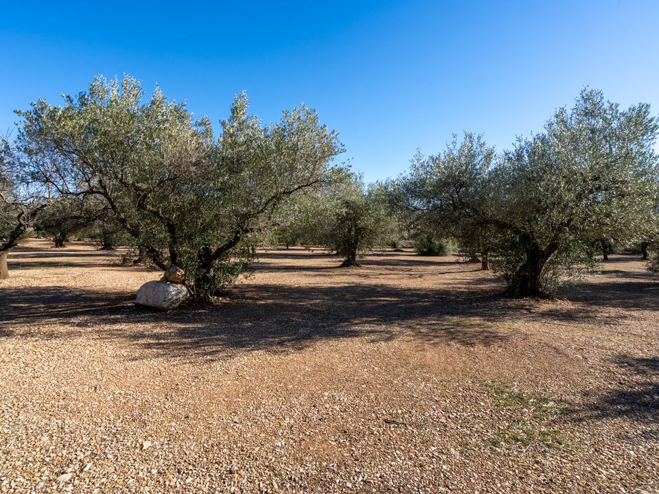 Country house for sale in Mas De Barberans, Tarragona province - € ...