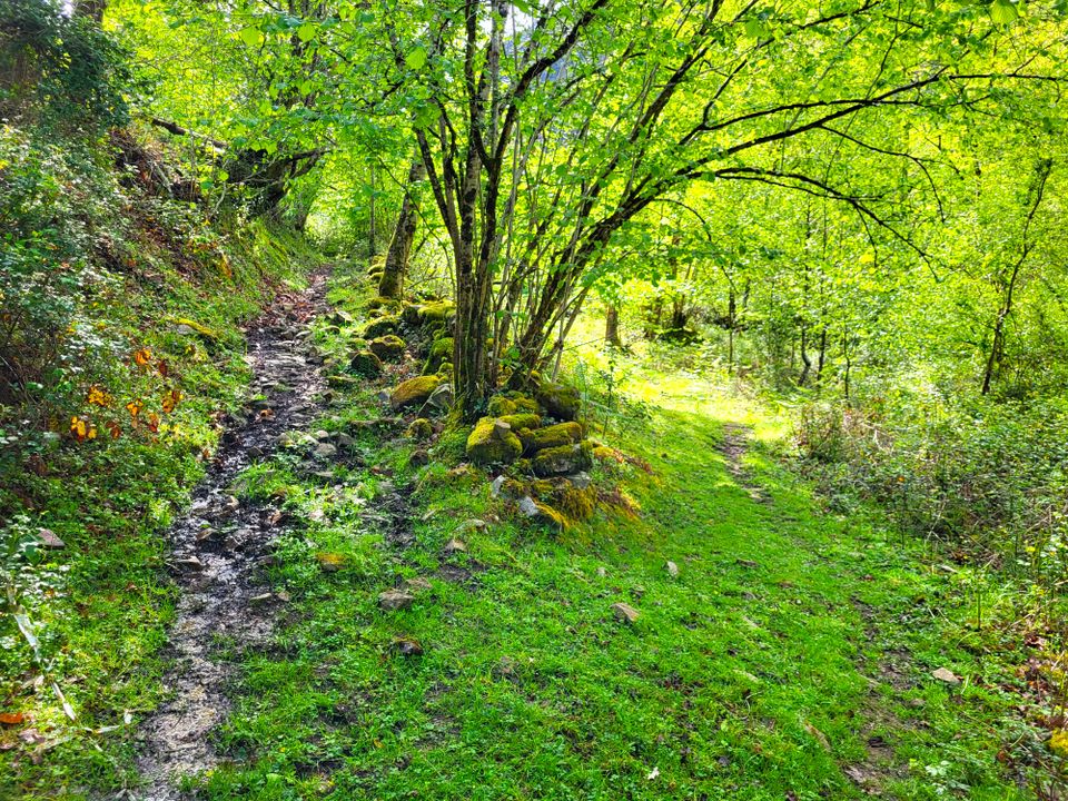 Property for Sale in Asturias - Buy Houses & More | Kyero