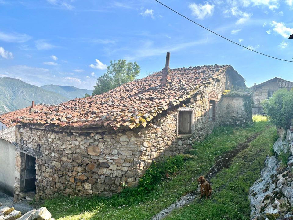 Property for Sale in Asturias - Buy Houses & More | Kyero