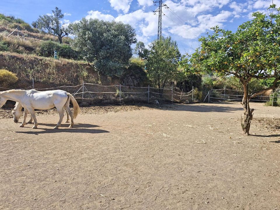 Properties for sale in Costa Del Sol | Kyero